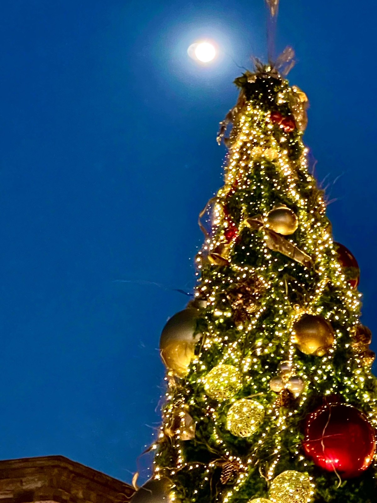 A Christmas walk through San Miguel de Allende | Musings, Magic, San ...
